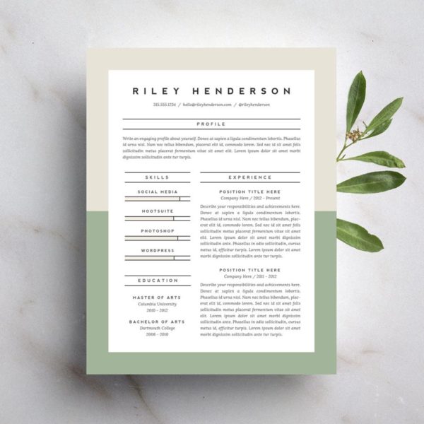 15 Beautiful Resumes You Can Buy on Etsy – Taryn Williford